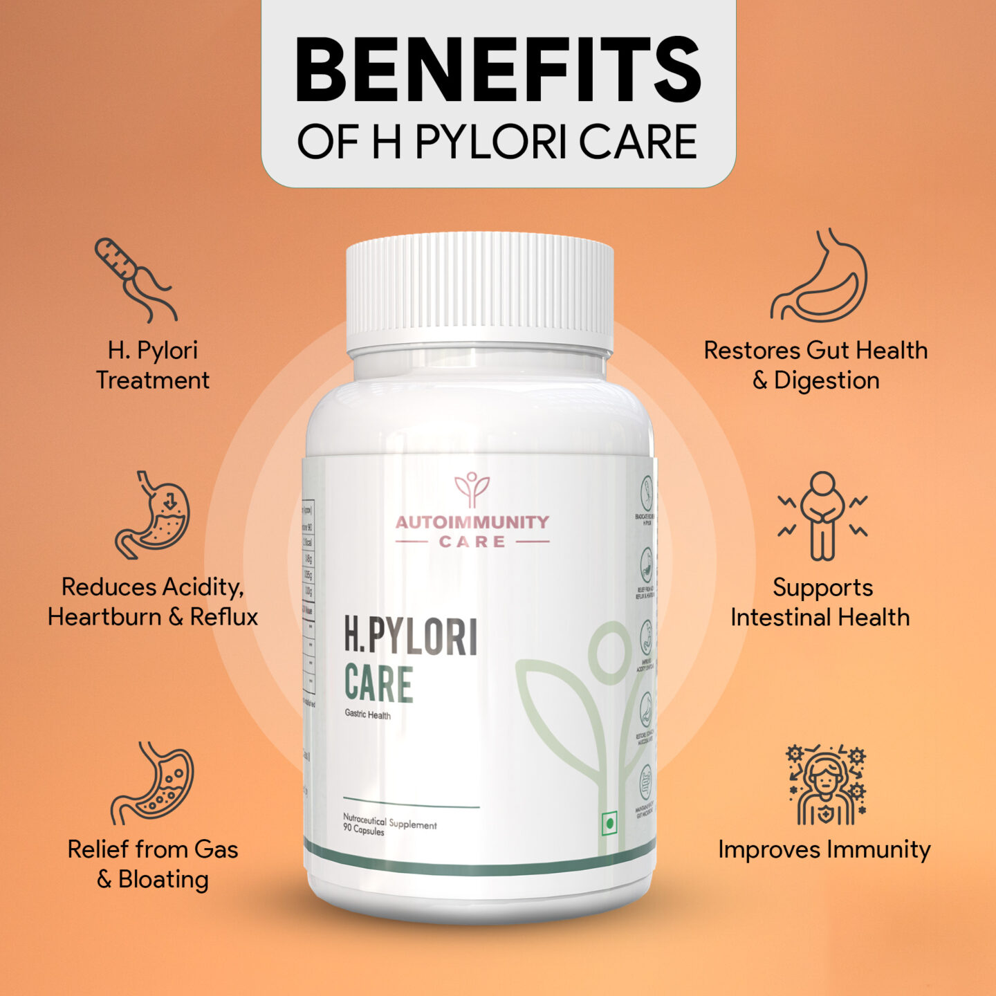 Buy H Pylori Care, 90 Capsules - Natural Digestive Support