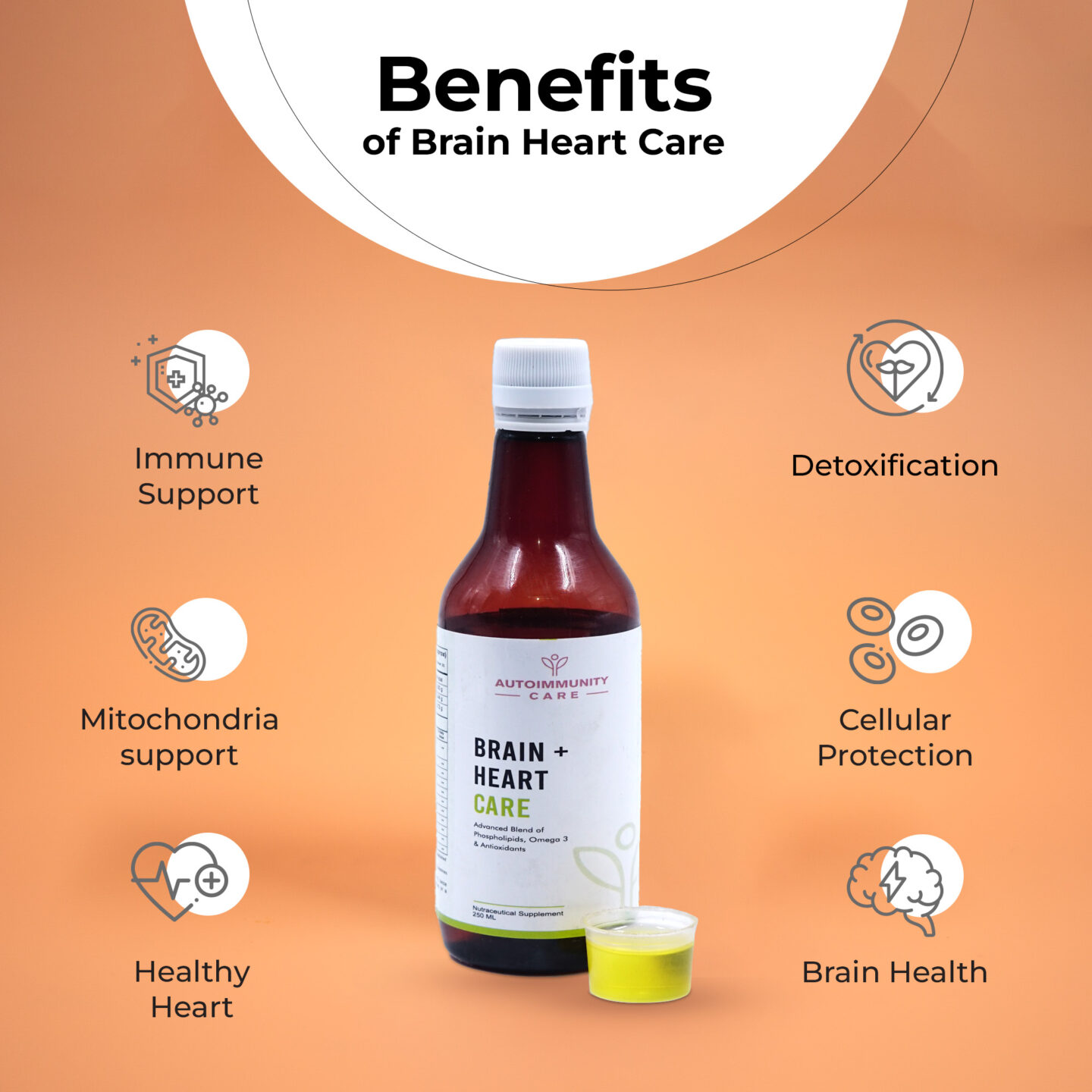 Buy Omega 3 Brain & Heart Care Vegan Oil - Overall Health Supplement