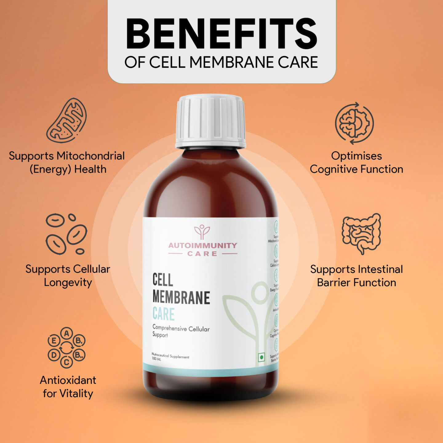 Buy Care Cell Membrane Syrup - Cellular and Cognitive Support