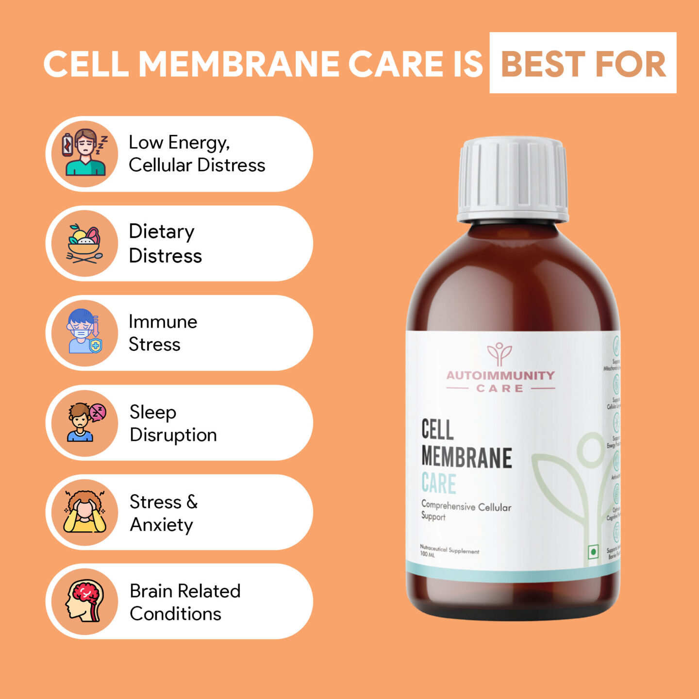 Buy Care Cell Membrane Syrup - Cellular and Cognitive Support